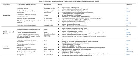 Summary Potential Toxic Effects Of Micro And Nanoplastics On Human Health Plastic Education
