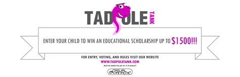 Styl Styk Click N Curl Blowout Brush Set With Detachable Barrels