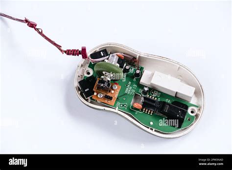 Disassembled Computer Mouse On White Background Gadget Repair