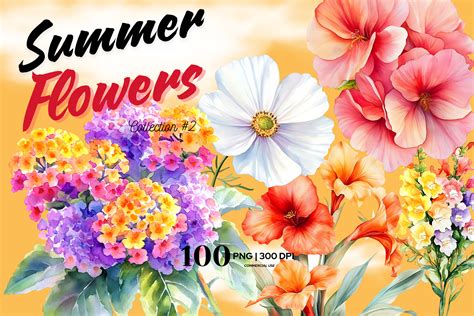 Watercolor Summer Flower Clipart Png Set Graphic By K9 Works · Creative