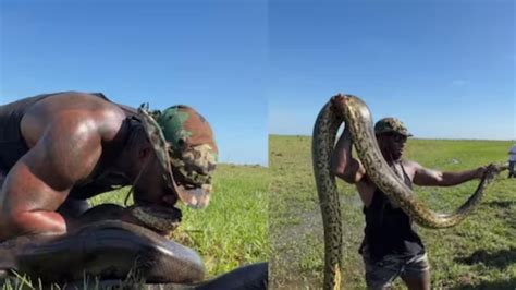 Viral Video Of Man Catching Anaconda With Bare Hands Will Give You