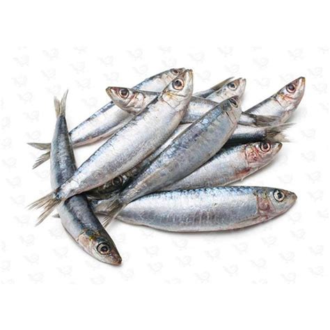 Mathisardine Frescor Foodworks Pvt Ltd