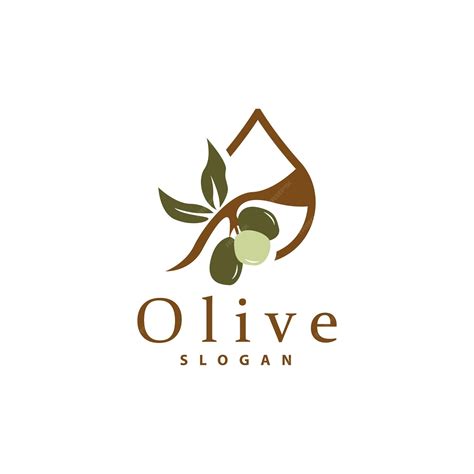 Premium Vector Olive Oil Logo Olive Leaf Plant Herbal Garden Vector