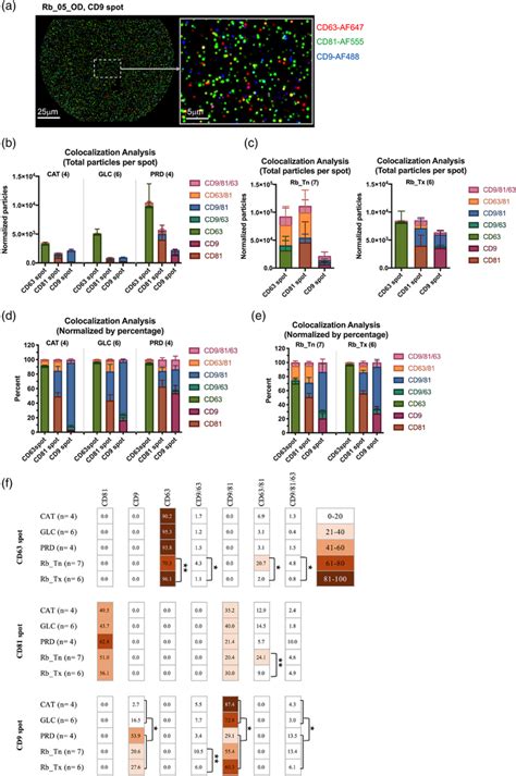 Colocalization Analysis Of Tetraspanin Subgroups Of Unprocessed Aqueous Download Scientific