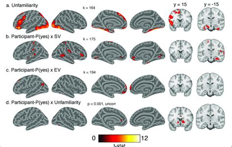 Whole Brain T Statistic Maps For Model Based Value Terms And Their