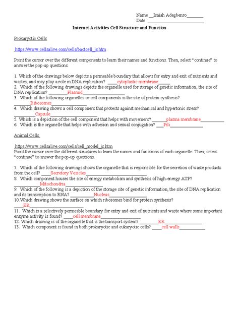 Cell Internet And Function Internet Activities Cell Structure And