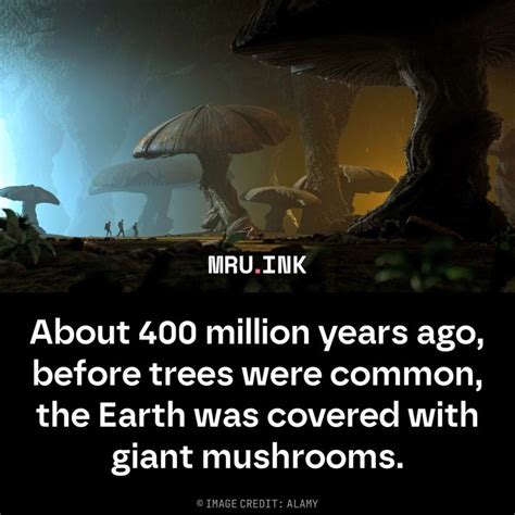 407 Million Year Old Fossil Challenges Fibonacci Spiral Theory