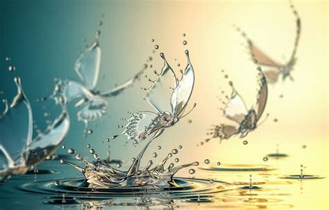 Water And Butterflies Wallpapers On Wallpaperdog