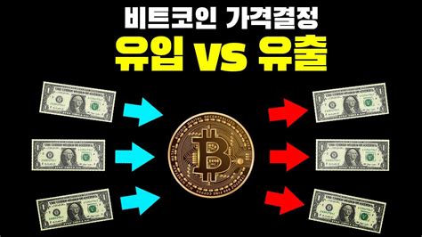 비트코인 가격을 결정하는 건 Youtube