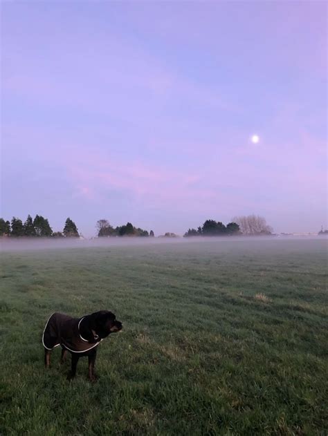 Pin Di Rubylee Squires Su 2025 Nel 2025