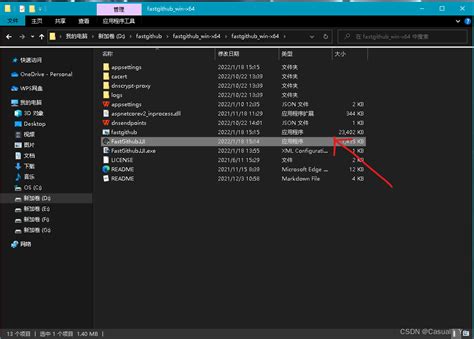提升github速度：fastgithub插件实战教程 csdn博客