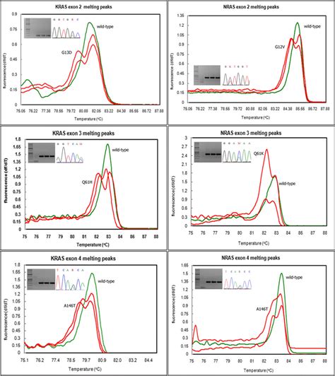Presence Of Split Peaks In Melt Curve Graphs To Detect Mutations In
