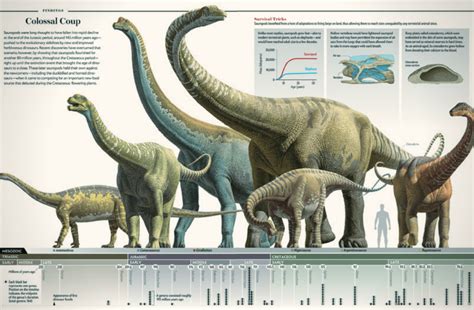 Science Dataviz Infogram