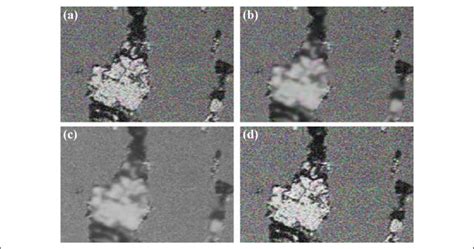 a to d the filtering effect of different methods download