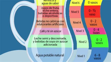 ¿cuáles Son Los Niveles De La Jarra Del Buen Beber