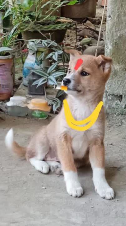 Rajdeep Banik On Linkedin Web3 Cryptocurrency Blockchain Innovation Futuretrends Leadership