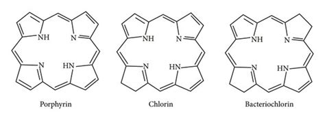Structure Of Classifications Of Tetrapyrrole Download Scientific Diagram