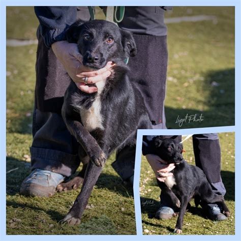 Foki Aska Alapítvány