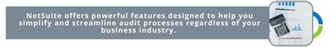 Netsuite For Audit Support Fusion Cpa