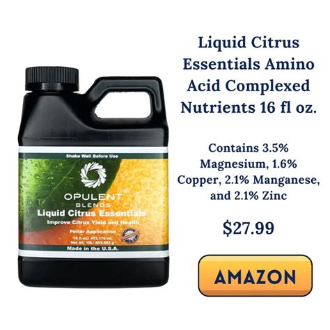 Best Citrus Tree Fertilizer What When And How To Use It All Roads Lead To Italy