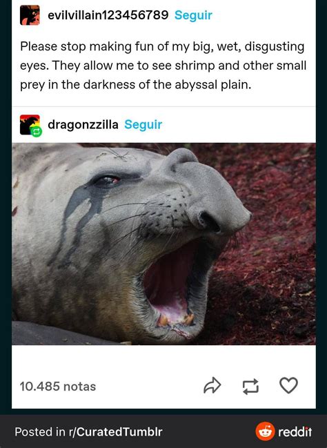 Wet Beast Wednesday Rreplybubbles