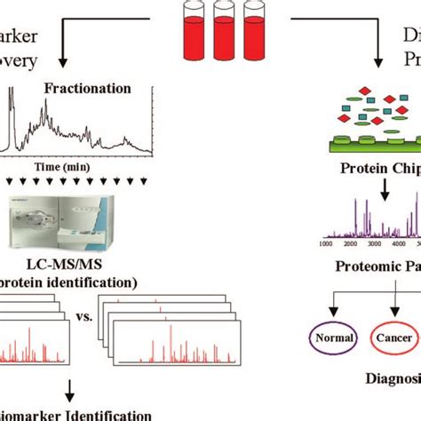 Two Commonly Used Ms Based Methods For Identification Based Biomarker