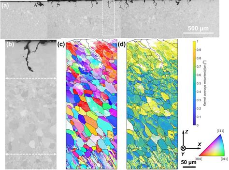 15 Cross Sectional Analyses A Secondary Electron Micrograph With The