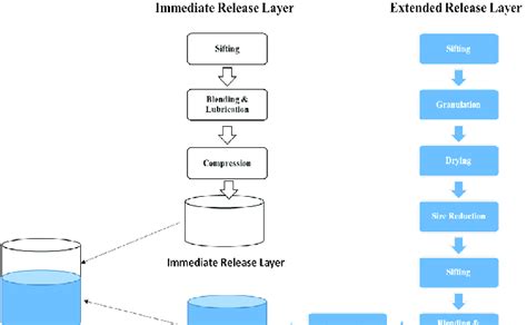 Process Flow Of Midodrine Hydrochloride Modified Release Bilayer Tablets Download Scientific