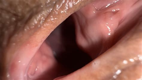 Anatomy Porn Videos XHamster