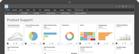 Client Services Executive Dashboard Reporting Domo