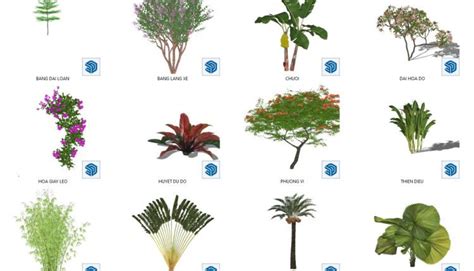 4736 Tree Plant Sketchup Model By Do Thanh Quang Sketchup Models For Free Download
