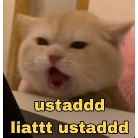 Sticker Maker Meme Lucu Gemoy