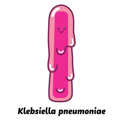 Mucoid Bacteria Rmedlabprofessionals