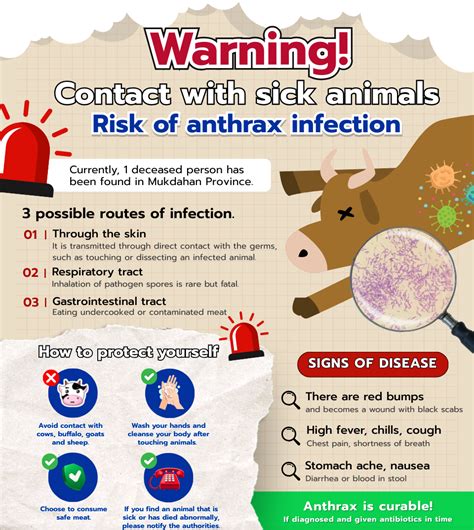 Anthrax Symptoms
