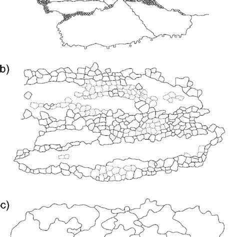 Characteristic Microstructures Of The Three Dynamic Recrystallization Download Scientific