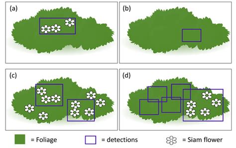 Remote Sensing Special Issue Remote Sensing For Management Of Invasive Species