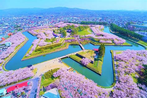 Hokkaido Hakodate Cherry Blossom 2d1n Bustour Vanuit Sapporo Aangeboden