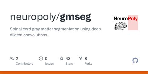 Github Neuropolygmseg Spinal Cord Gray Matter Segmentation Using