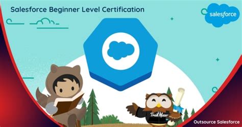 salesforce set forth beginner level certification outsource salesforce