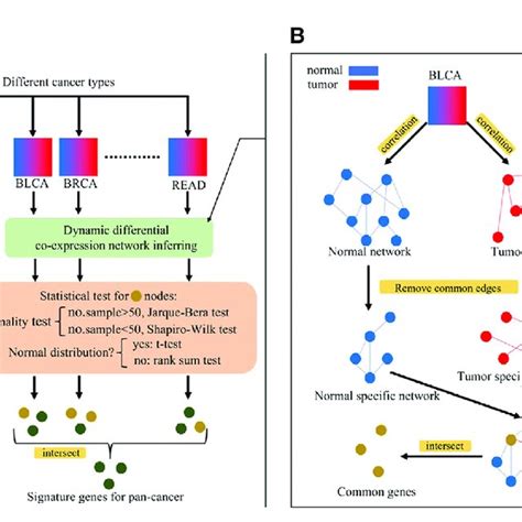 A Overview Of Identification Process Of Signature Genes For Download Scientific Diagram