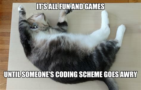 Phd Cat Home Facebook