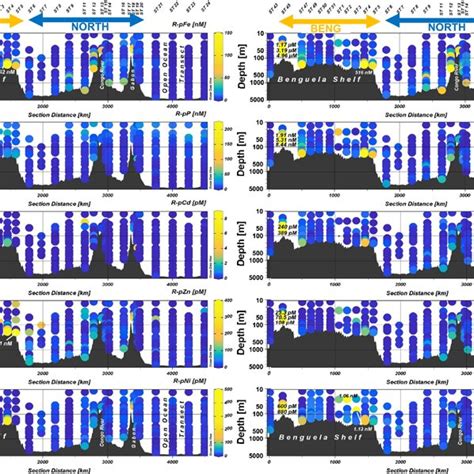 Distribution Of Labile Particulate Fraction Of Total Particulate Download Scientific