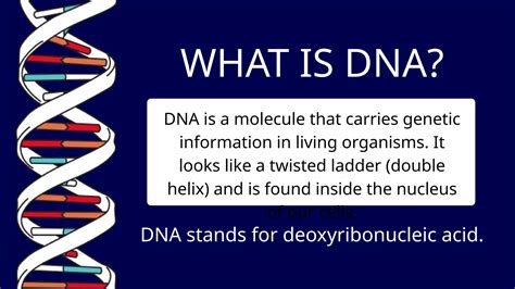 Genetics And Genes Science Presentation In Blue Orange Flat Graphic