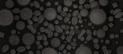 Microprofile Fault Tolerance Annotations