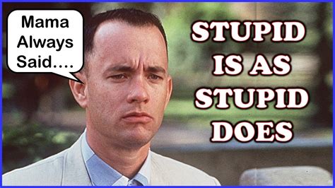 Stupid Is As Stupid Does 25 Stupidity Memes Showing That Stupidity Is