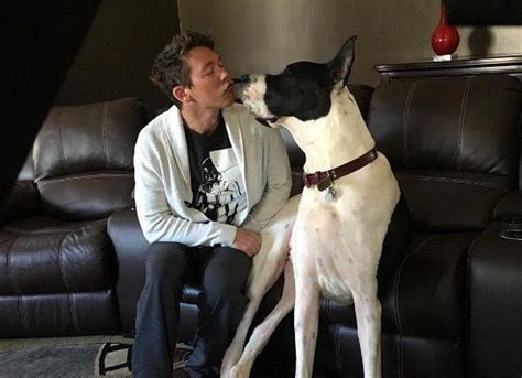 20 Things You Didnt Know About David Bromstad