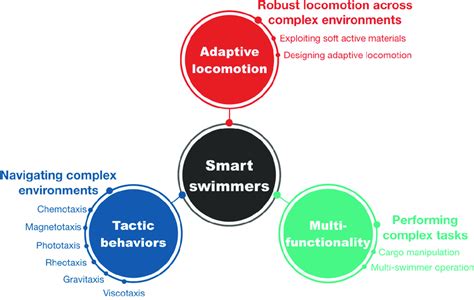 Overview Of Roads To Smart Artificial Microswimmers Herein We Report