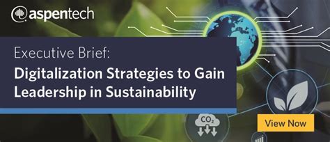 Digitalization Strategies To Gain Leadership In Sustainability