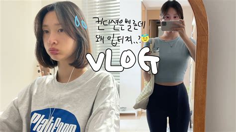 Vlog 일상 브이로그입터진 Pms주간교촌치킨 최고오오랜만에만취요😇맥날 해장야채곱창고기에 쏘주남영동 리파인갈토스트갈쿡 스테이크와 샐러드백반시바견