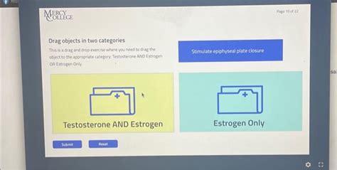 Solved Drag Objects In Two Categories This Is A Drag And Chegg